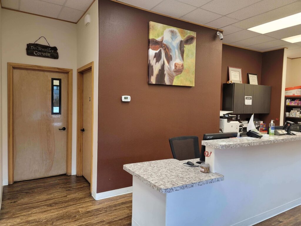 Payment Options For Veterinary Care | Paws, Claws & Hooves Veterinary ...